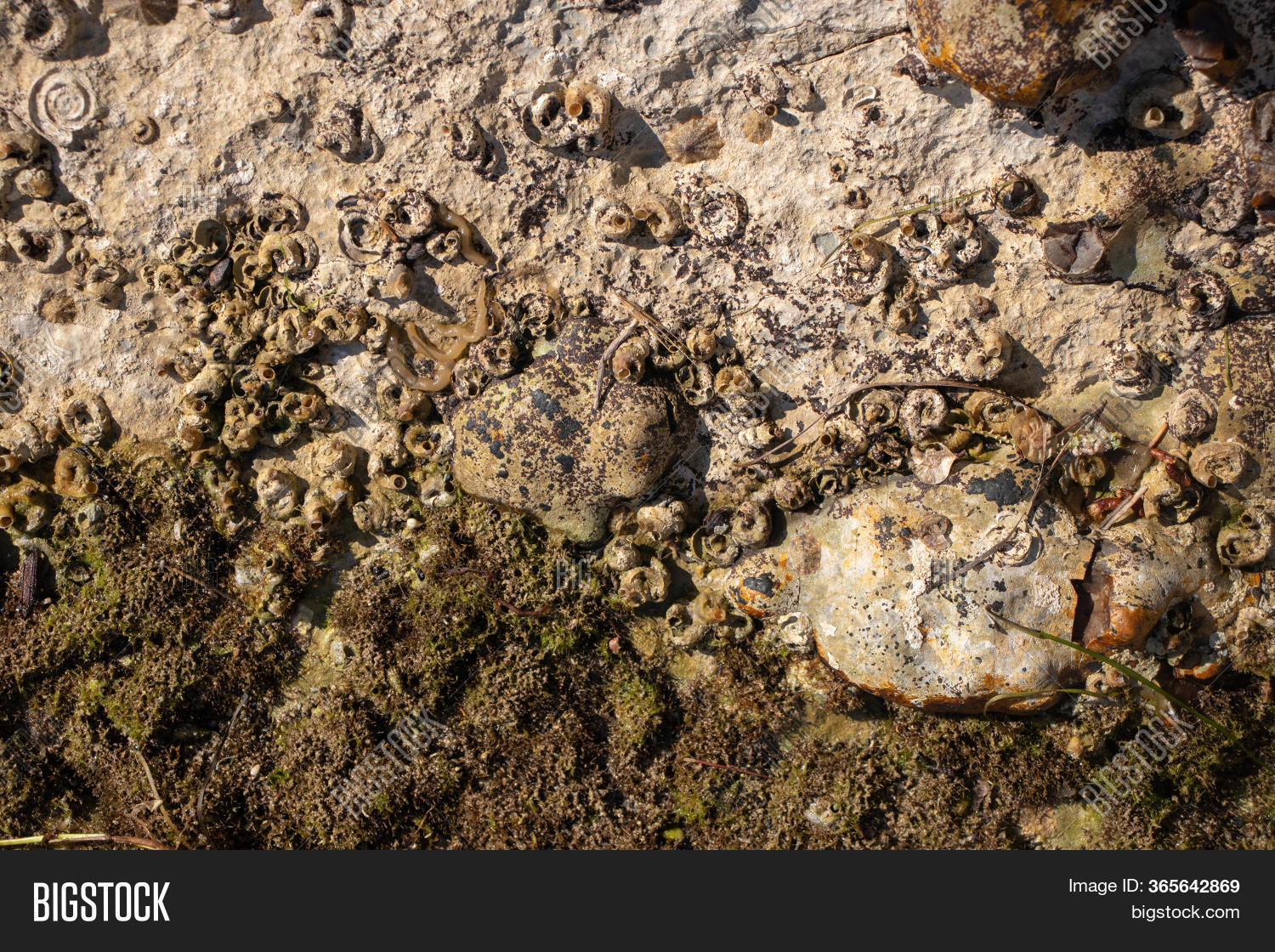 Top View Rocks Near Image & Photo (Free Trial) | Bigstock