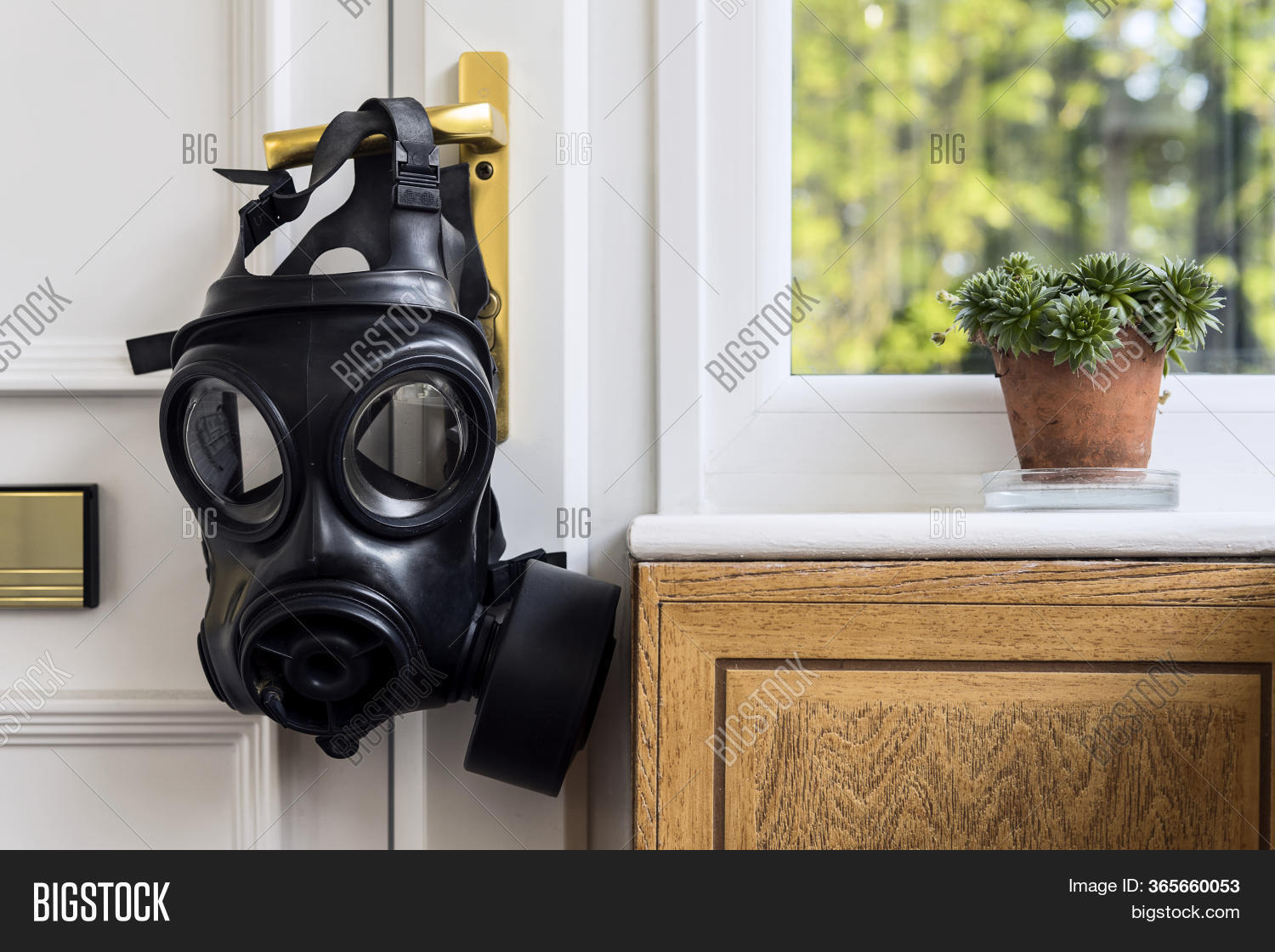 Sas Gas Mask Hanging Image & Photo (Free Trial) | Bigstock