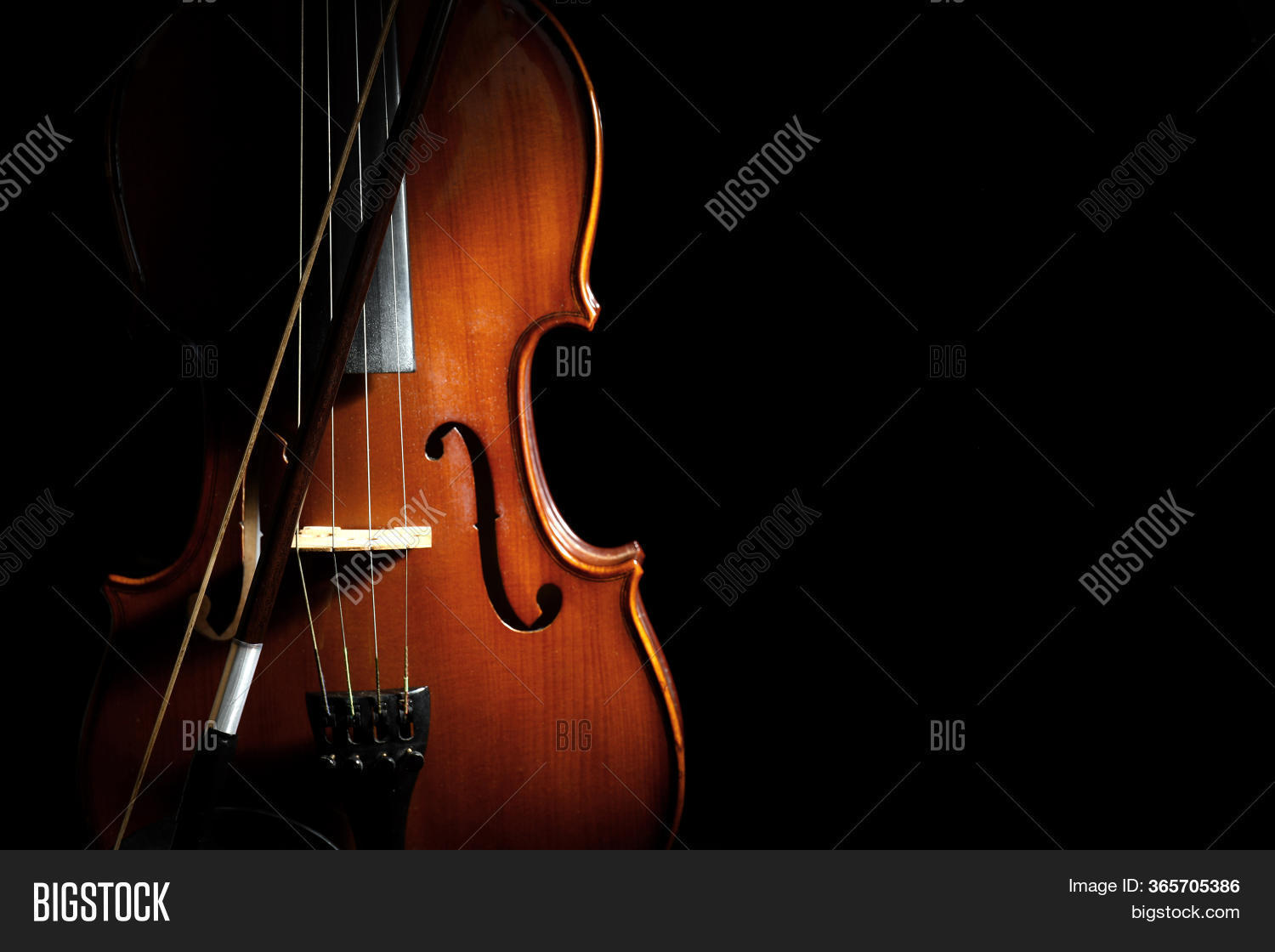 Classic Violin Bow On Image & Photo (Free Trial) | Bigstock