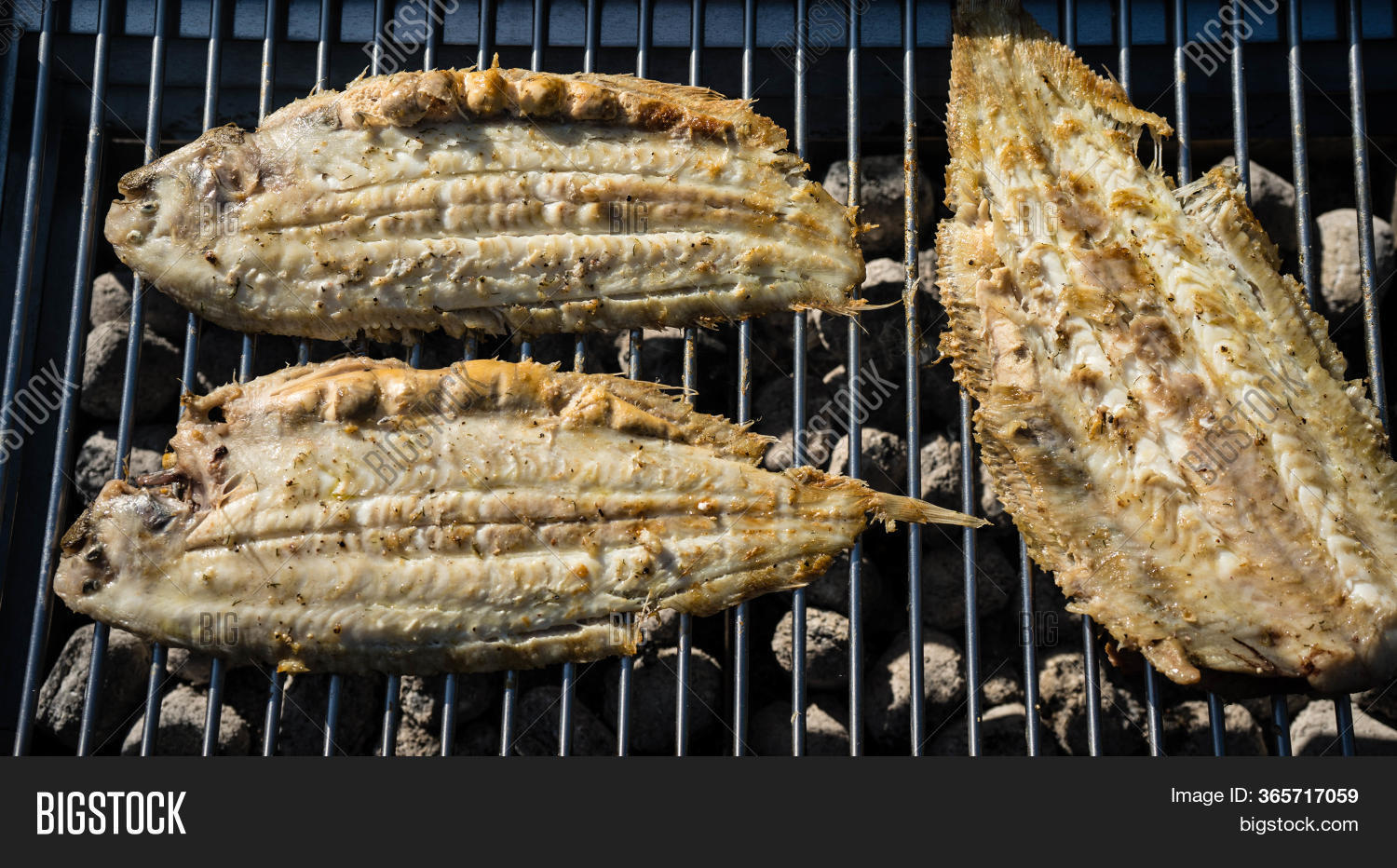 Saltwater Sole Image & Photo (Free Trial) | Bigstock