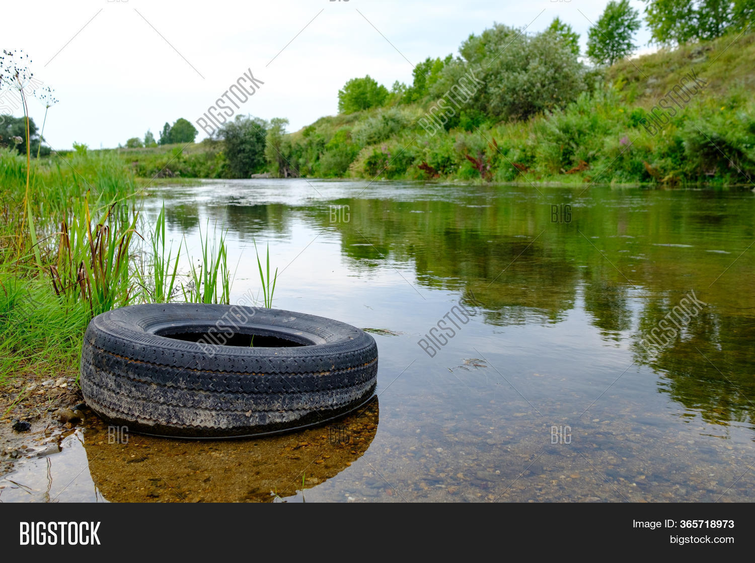Tire Car Lies On Bank Image & Photo (Free Trial) | Bigstock