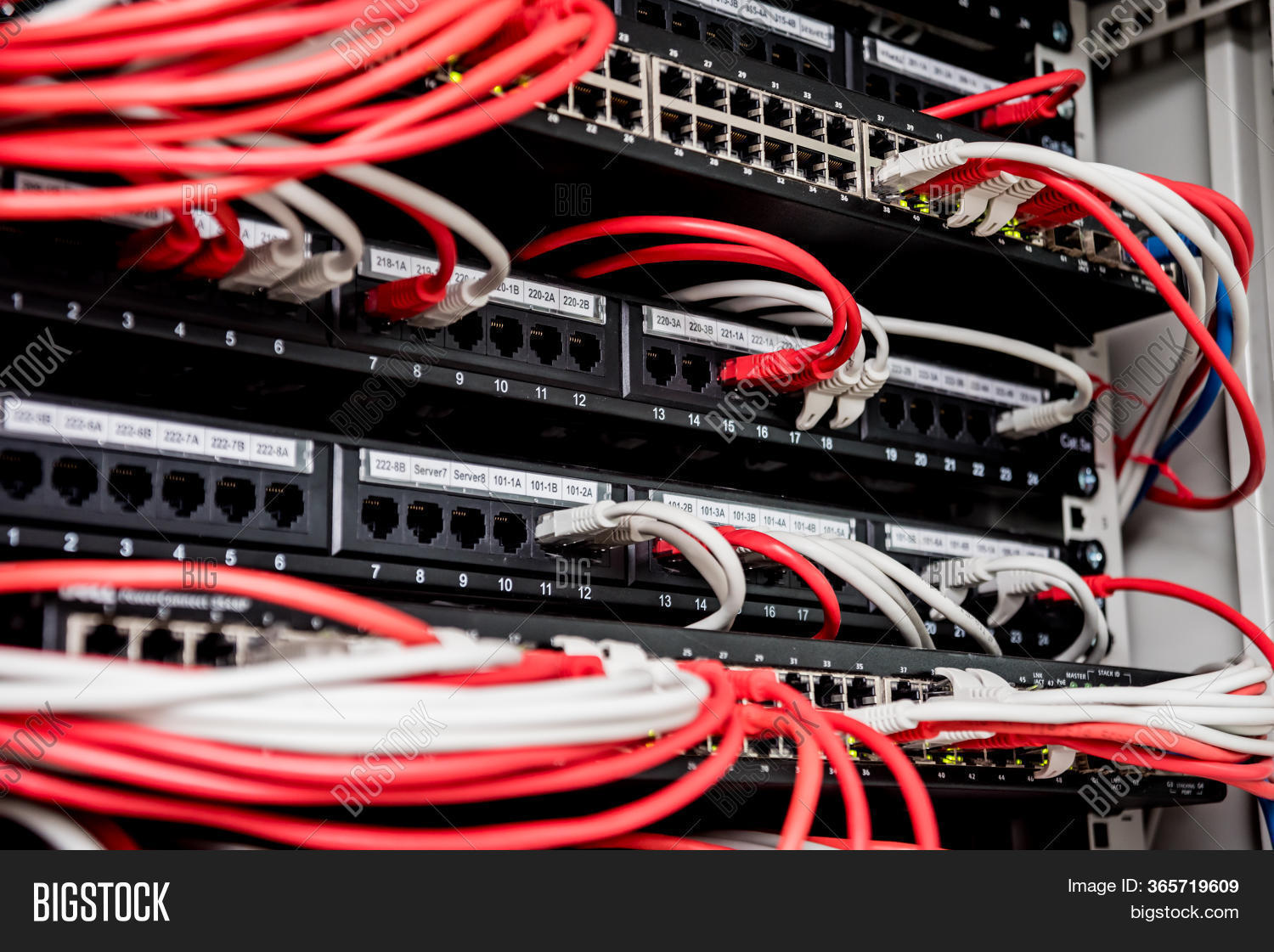 Network Switch Image & Photo (Free Trial) | Bigstock