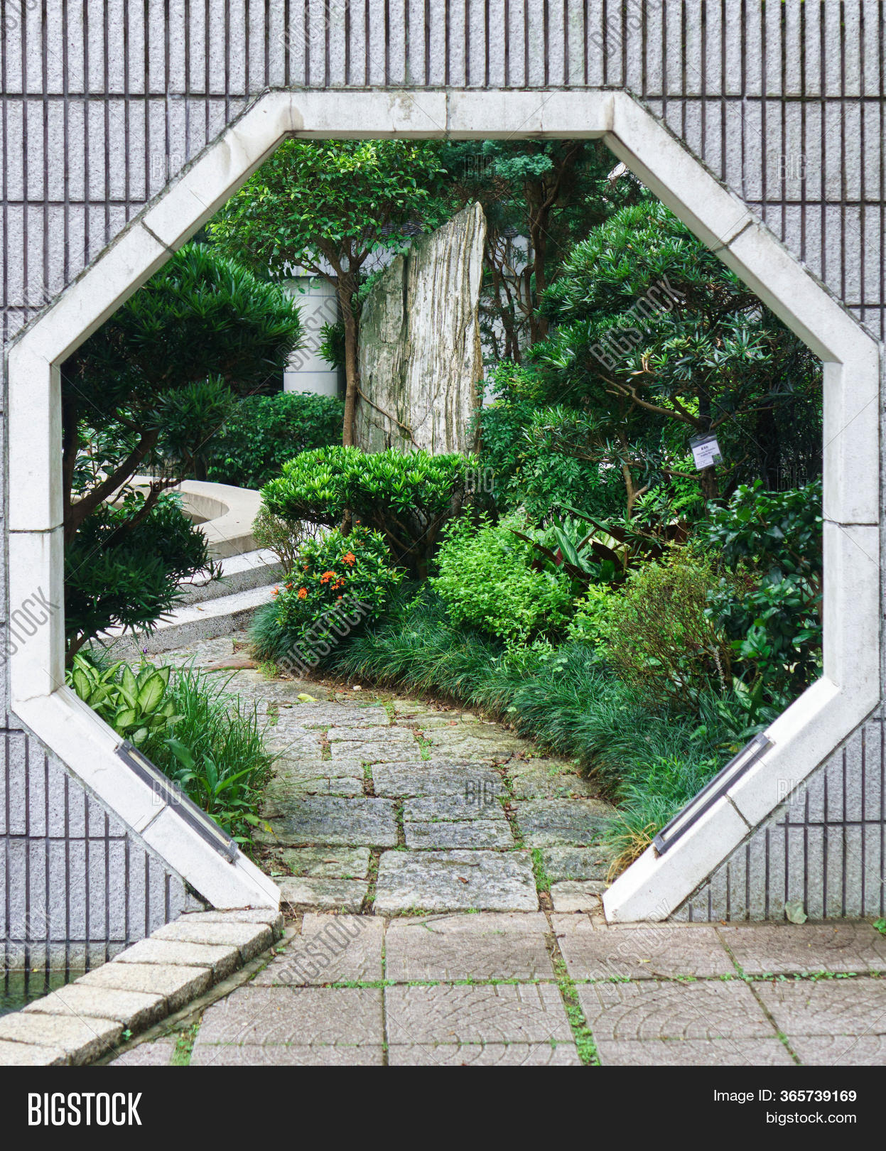 Octogonal Shaped Image & Photo (Free Trial) | Bigstock