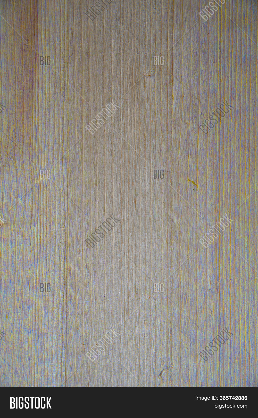 Light Pine Wood Image & Photo (Free Trial) | Bigstock