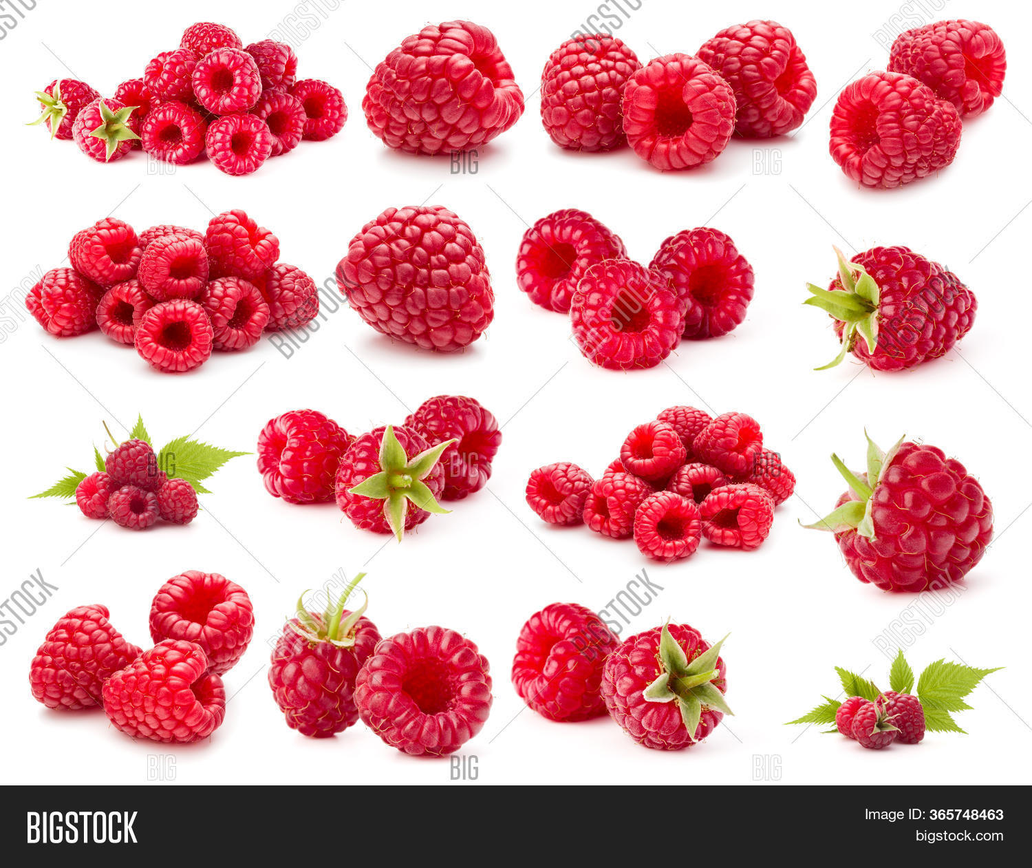 Raspberry Isolated On Image & Photo (Free Trial) | Bigstock