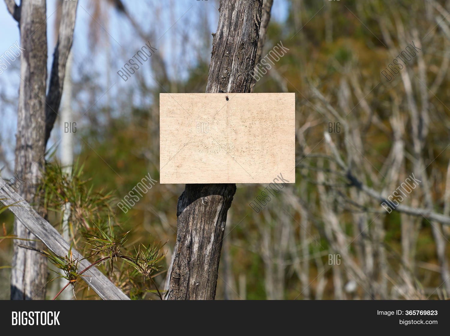Blank Empty Sign Board Image & Photo (Free Trial) | Bigstock
