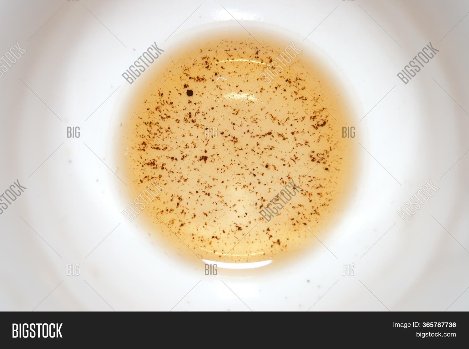 Bottom Cup Tea Image & Photo (Free Trial) | Bigstock