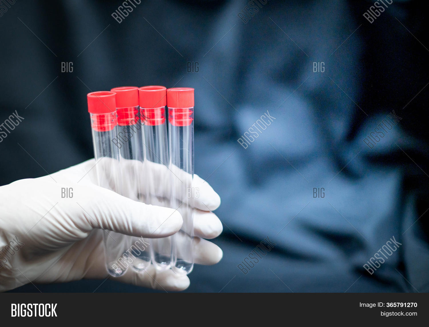 Scientist Hand Holding Image & Photo (Free Trial) | Bigstock