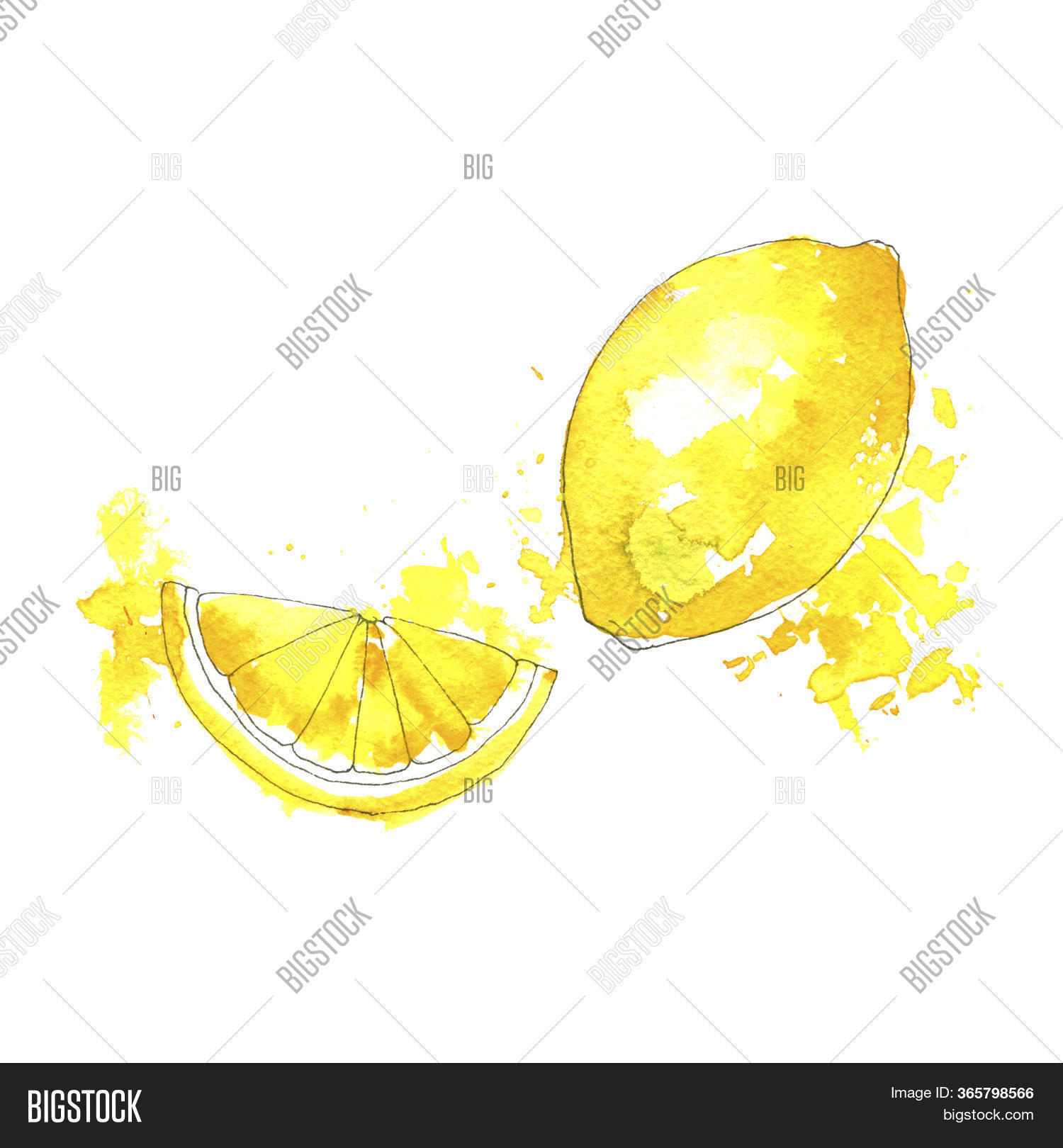 Watercolor Drawing Image & Photo (Free Trial) | Bigstock