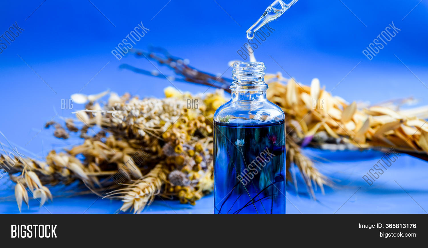 Glass Dropper Drop Image & Photo (Free Trial) | Bigstock
