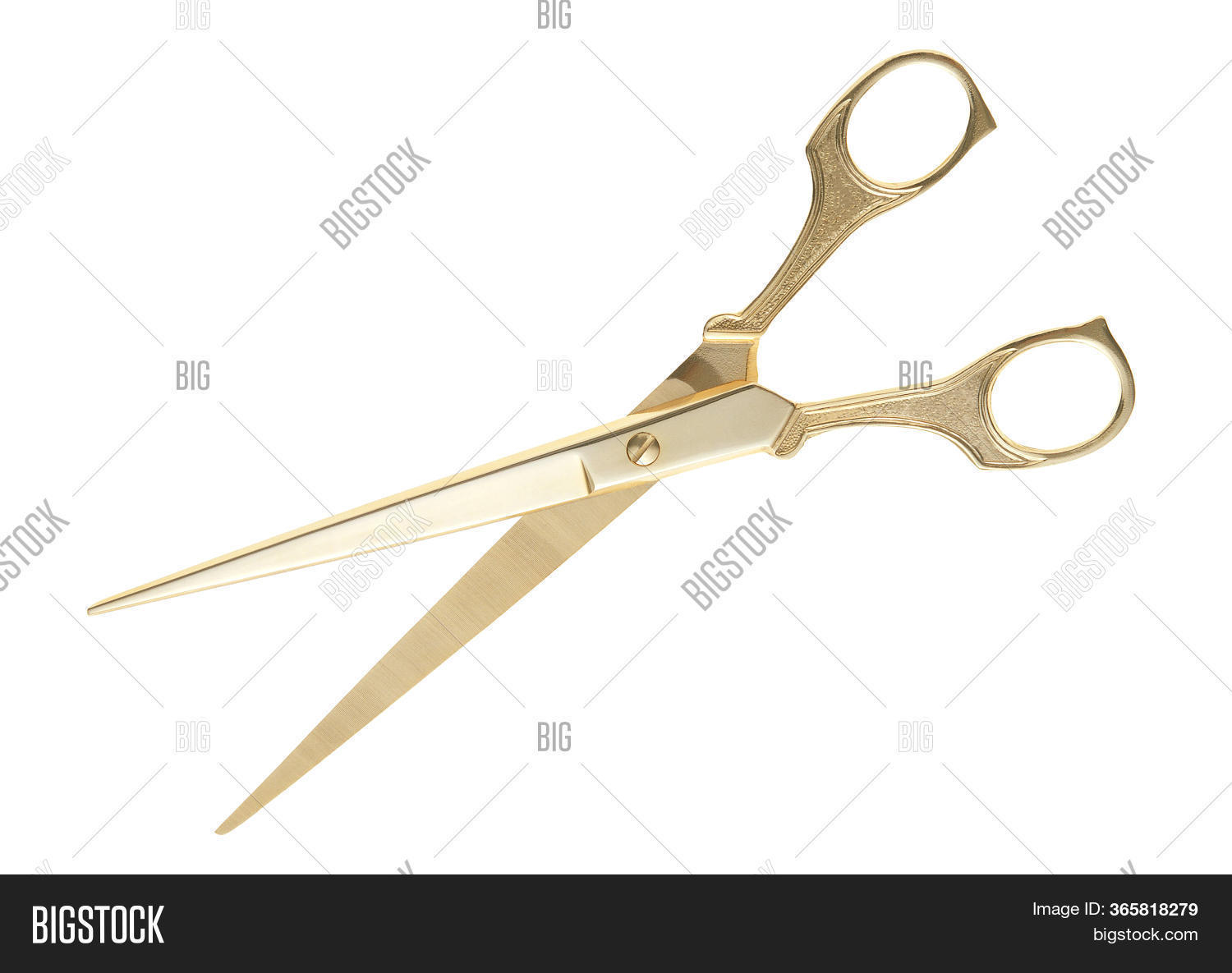 Silver Metal Scissors Image & Photo (Free Trial) | Bigstock