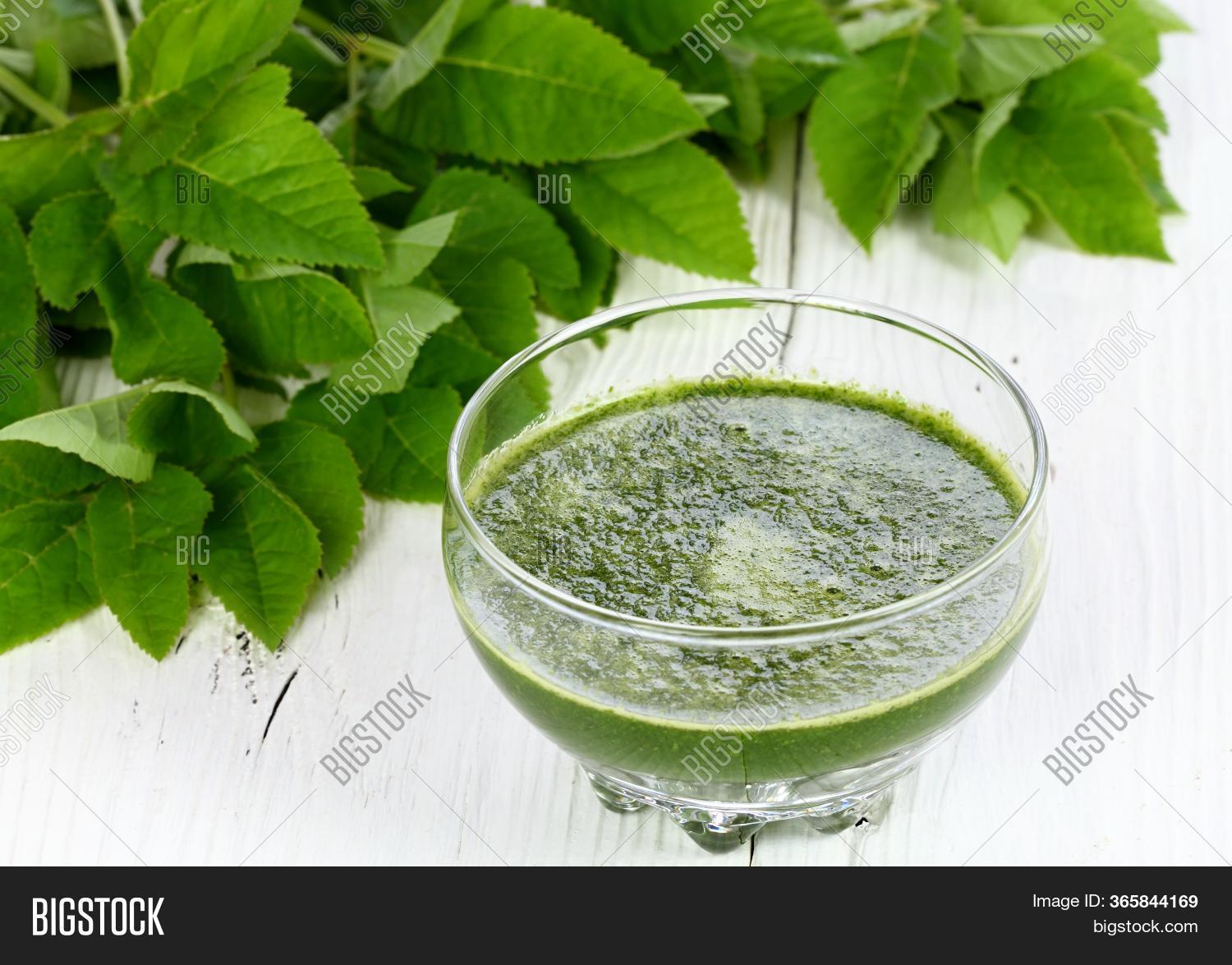 Aegopodium Podagraria Image & Photo (Free Trial) | Bigstock