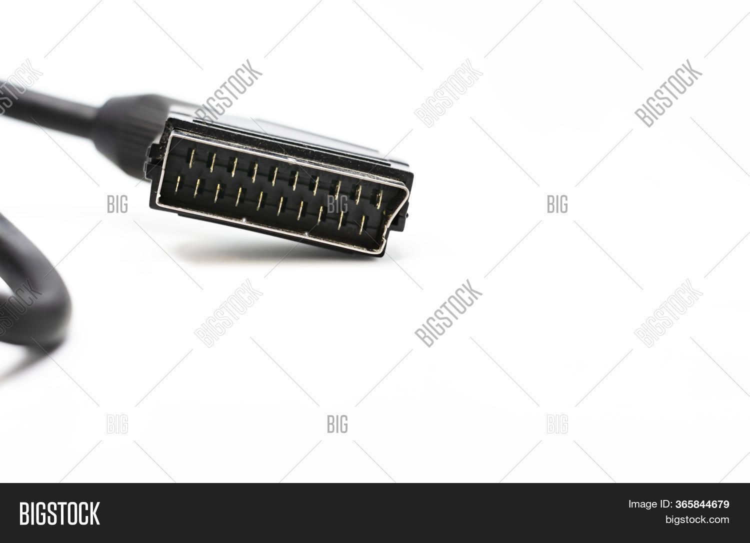 Close View Male Scart Image & Photo (Free Trial) | Bigstock