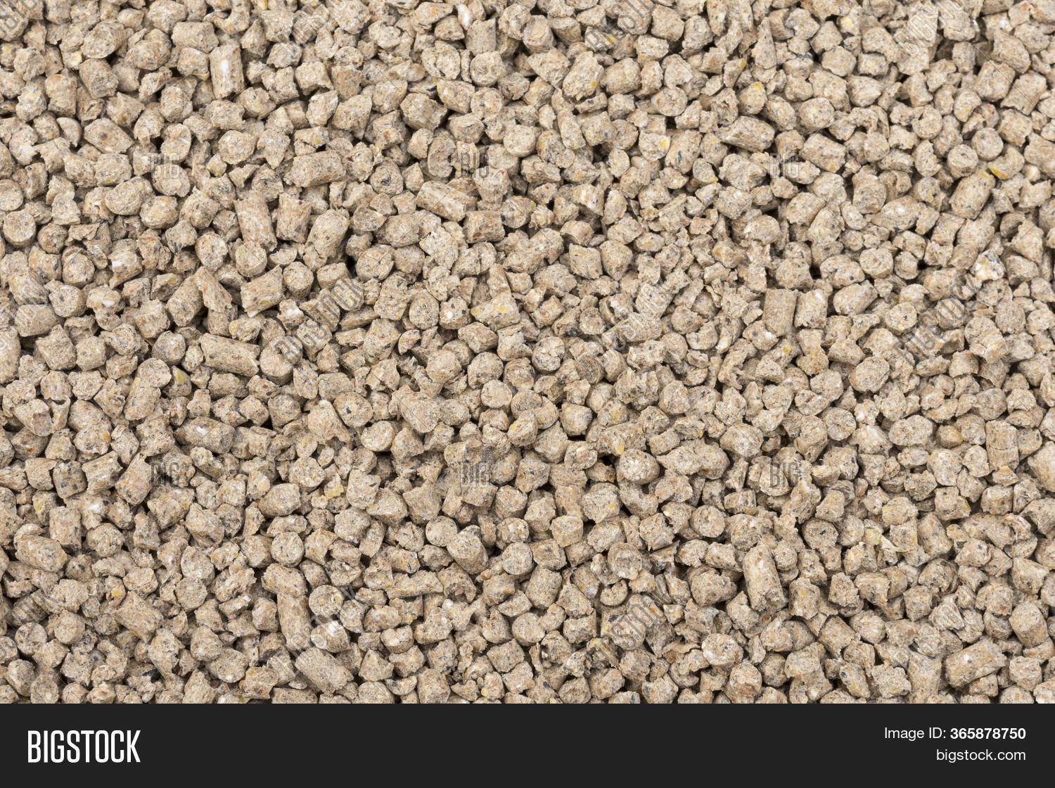 Granules Animal Feed Image & Photo (Free Trial) | Bigstock