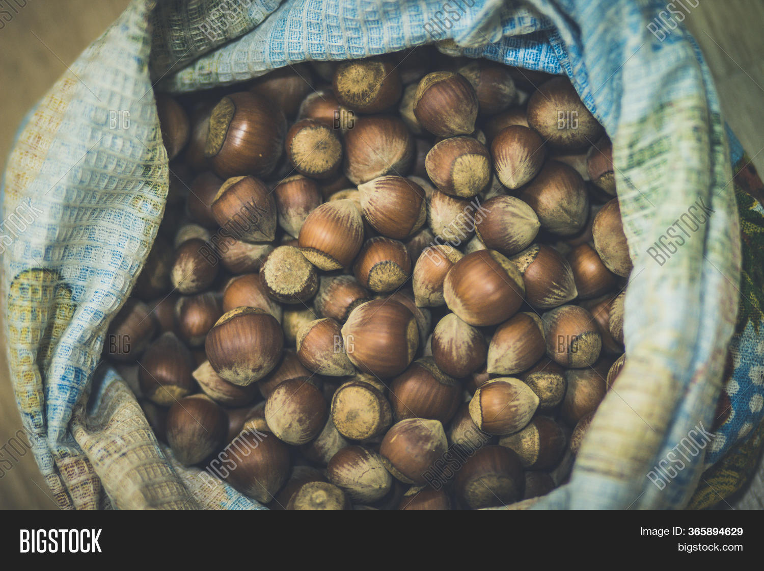 Large Bag Dry Forest Image & Photo (Free Trial) | Bigstock