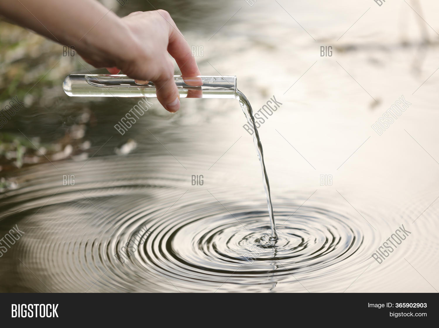Pond Water Pollution Image & Photo (Free Trial) | Bigstock
