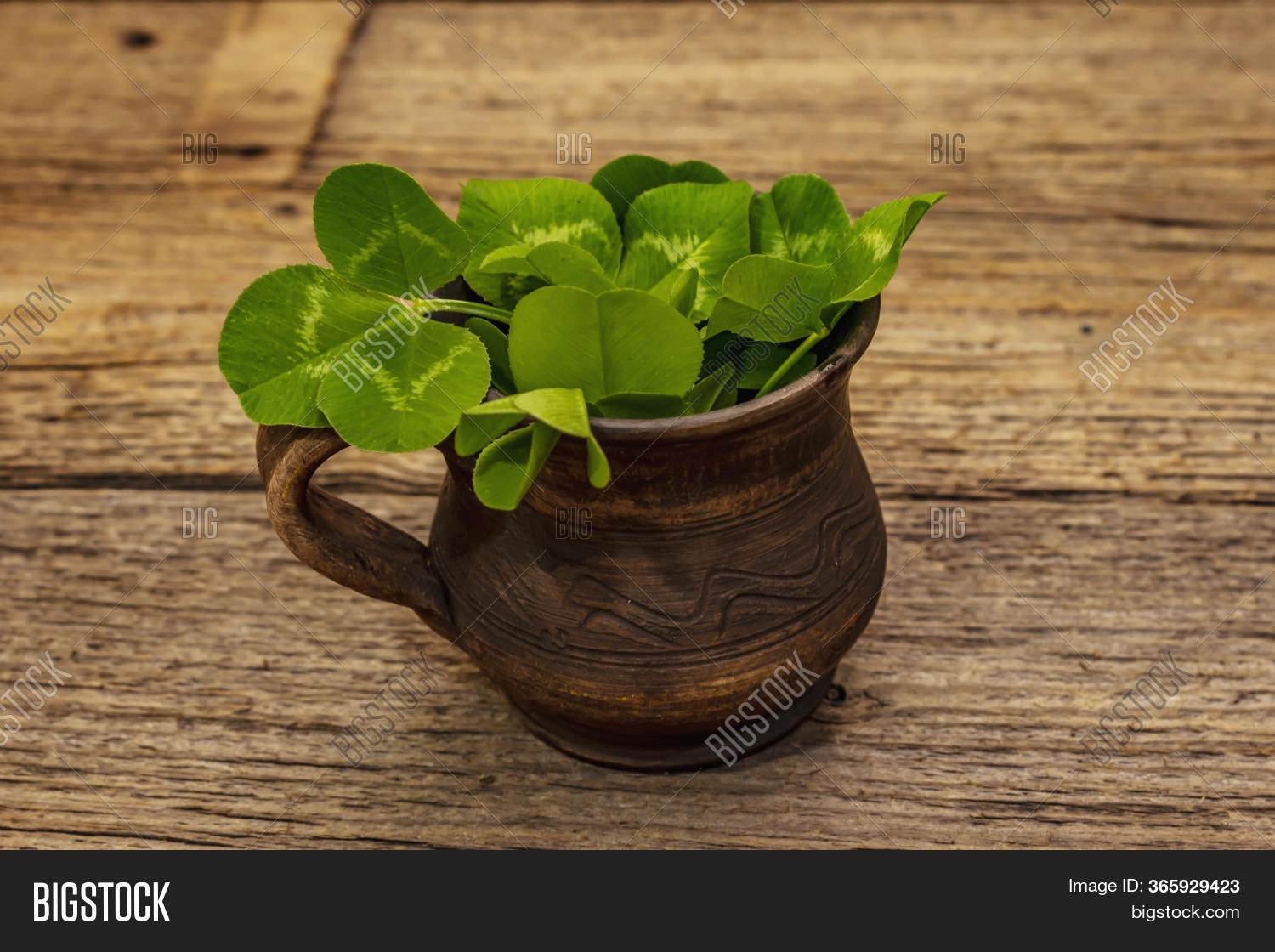 Fresh Clover Bouquet Image & Photo (Free Trial) | Bigstock