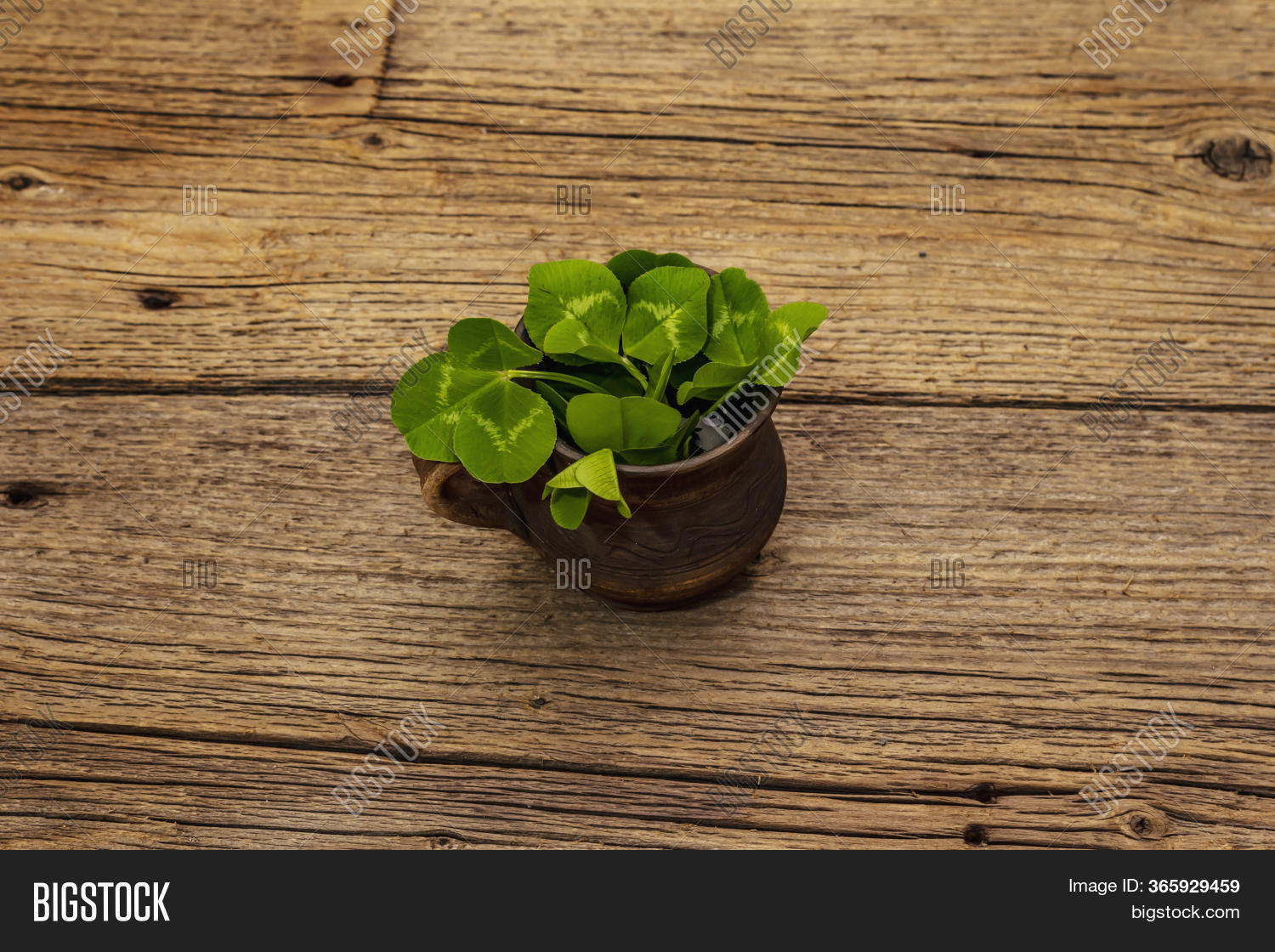 Fresh Clover Bouquet Image & Photo (Free Trial) | Bigstock