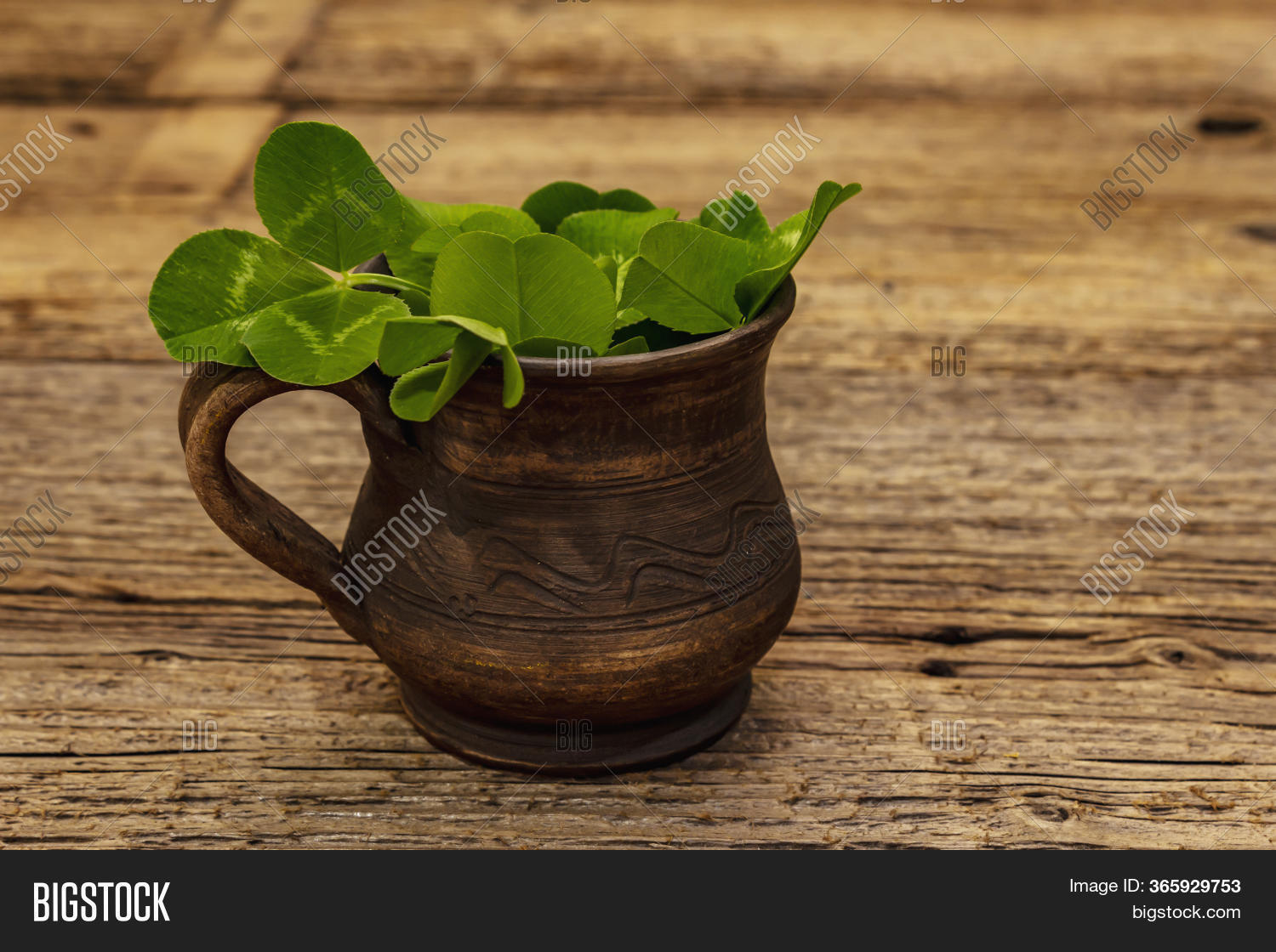 Fresh Clover Bouquet Image & Photo (Free Trial) | Bigstock