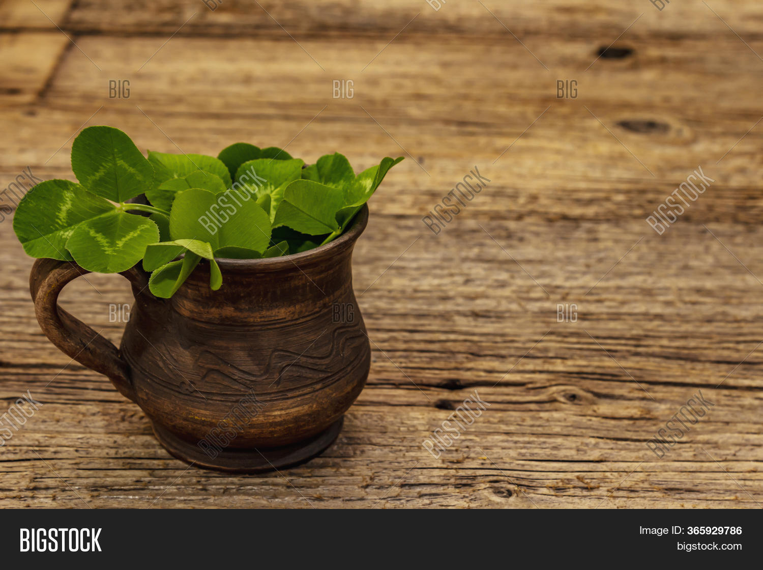 Fresh Clover Bouquet Image & Photo (Free Trial) | Bigstock
