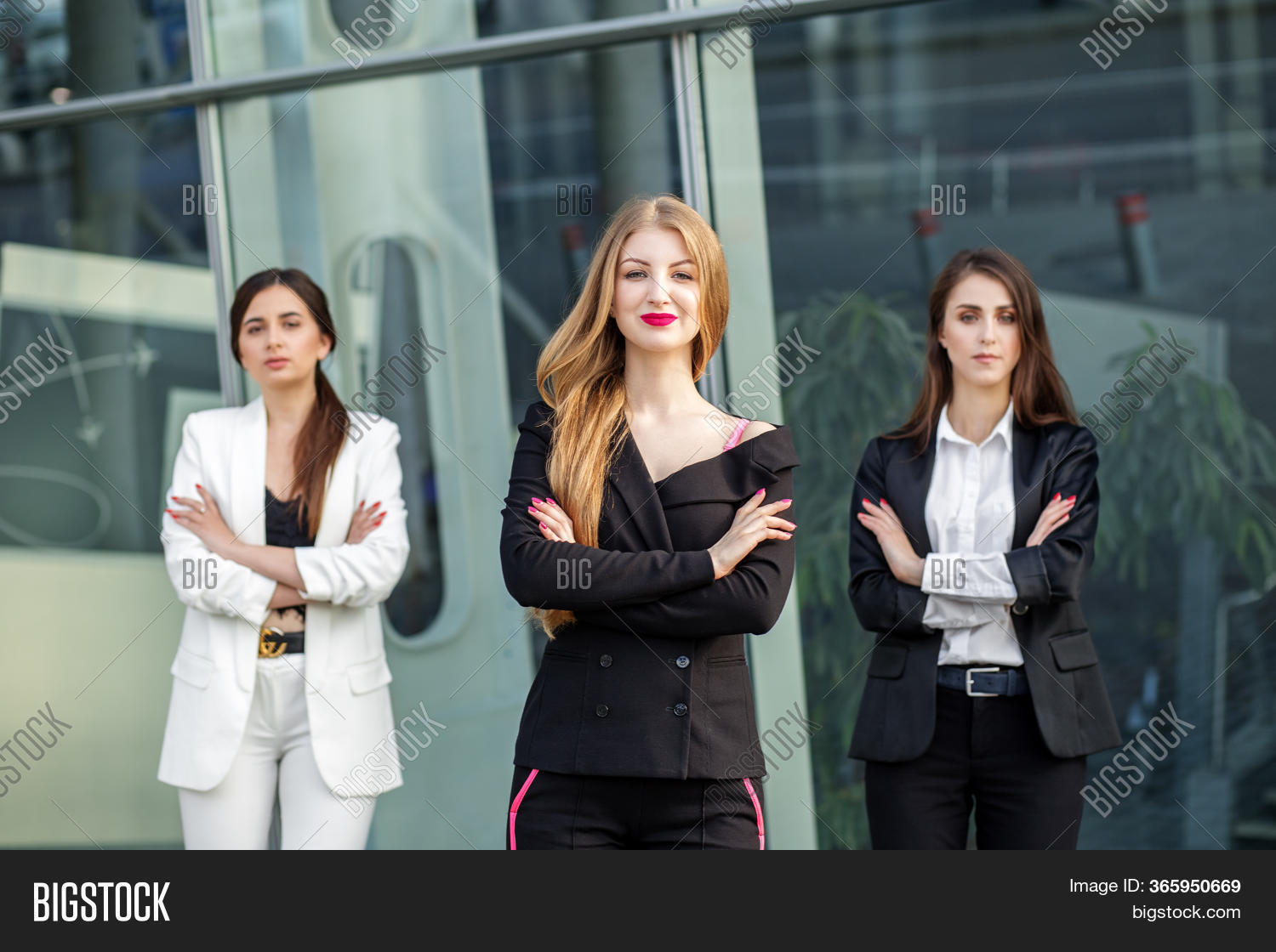 Team Business Partners Image & Photo (Free Trial) | Bigstock