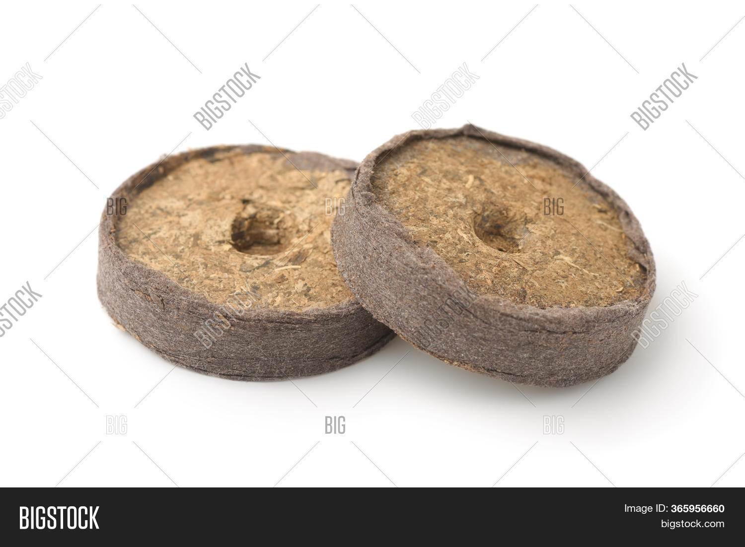 Two Seed Starting Peat Image & Photo (Free Trial) | Bigstock