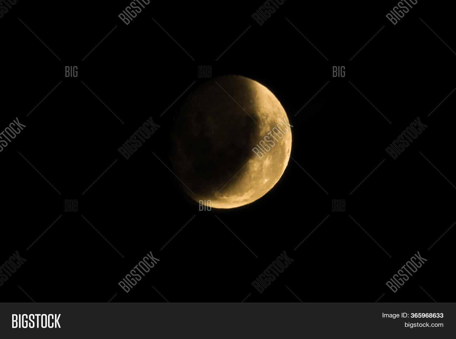 Beautiful Photo Waning Image & Photo (Free Trial) | Bigstock