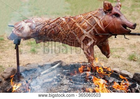 Whole Roasted Piglet Image & Photo (Free Trial) | Bigstock