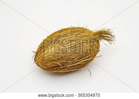 Fresh Ripe Coconut Image & Photo (Free Trial) | Bigstock