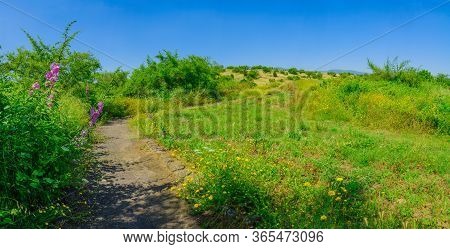 Panoramic View Image & Photo (Free Trial) | Bigstock