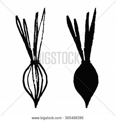 Set Onion Doodle Vector & Photo (Free Trial) | Bigstock