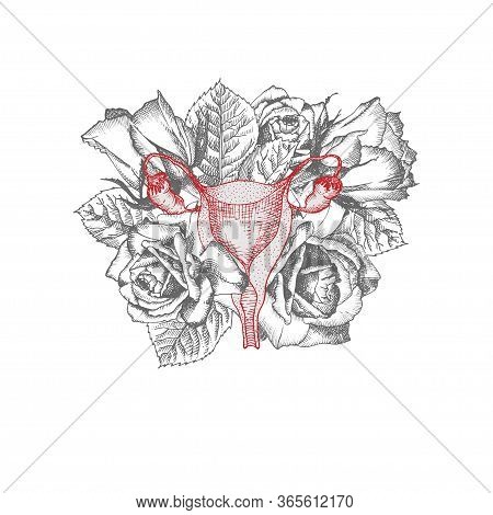 เวกเตอร์และภาพถ่าย (ทดลองใช้ฟรี) | Bigstock