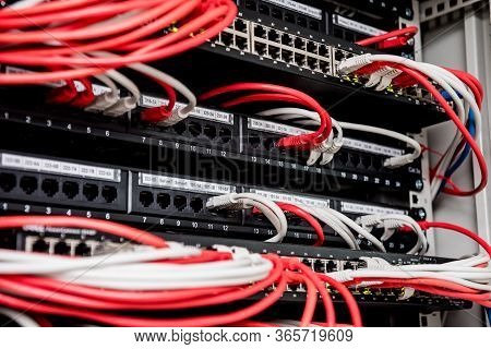 Network Switch Image & Photo (Free Trial) | Bigstock