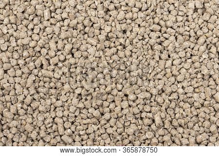 Granules Animal Feed Image & Photo (Free Trial) | Bigstock