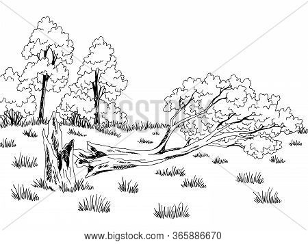 Broken Tree Graphic Vector & Photo (Free Trial) | Bigstock