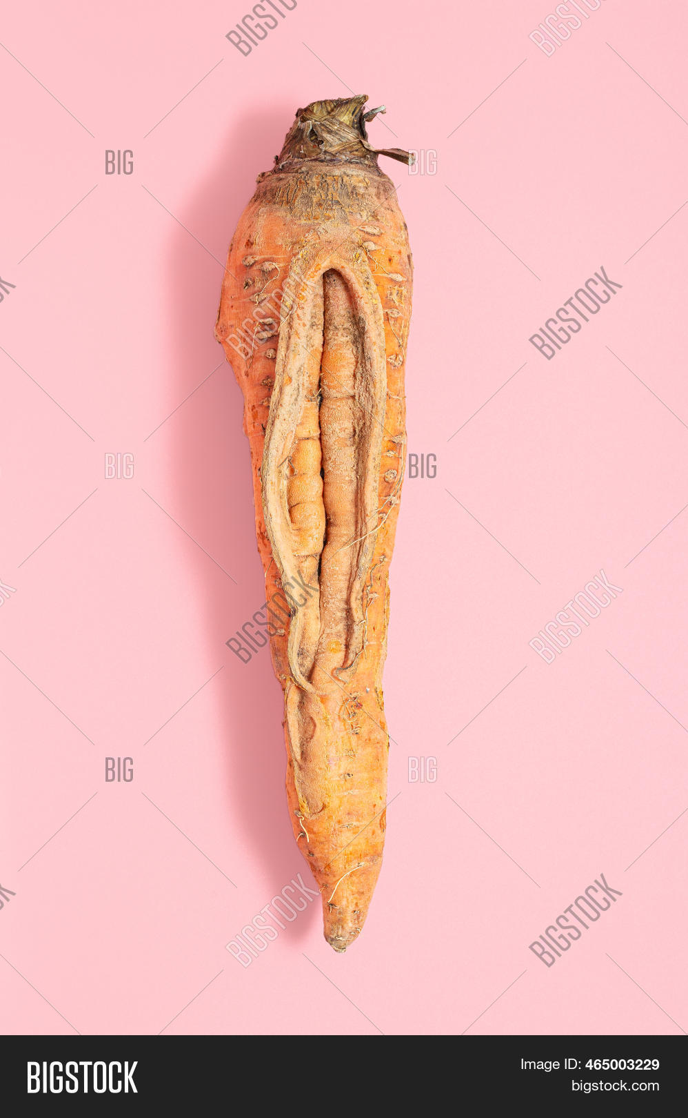 Ugly Carrot On Pink Image & Photo (Free Trial) | Bigstock