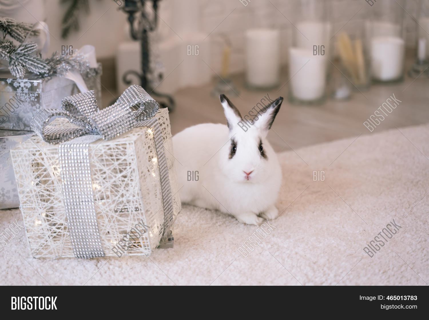 White Rabbit Gift Image & Photo (Free Trial) | Bigstock
