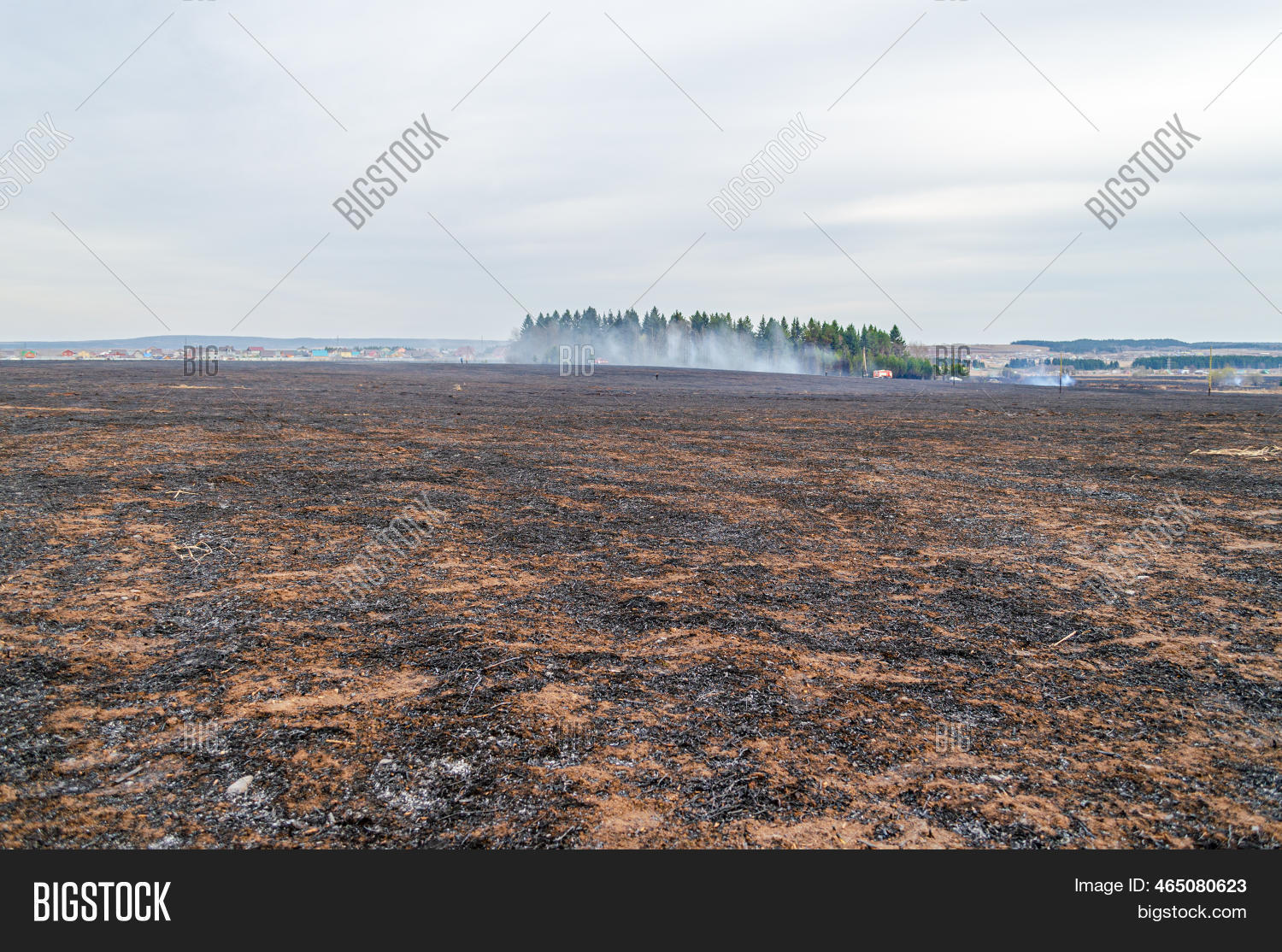 Field Burned Out After Image & Photo (Free Trial) | Bigstock
