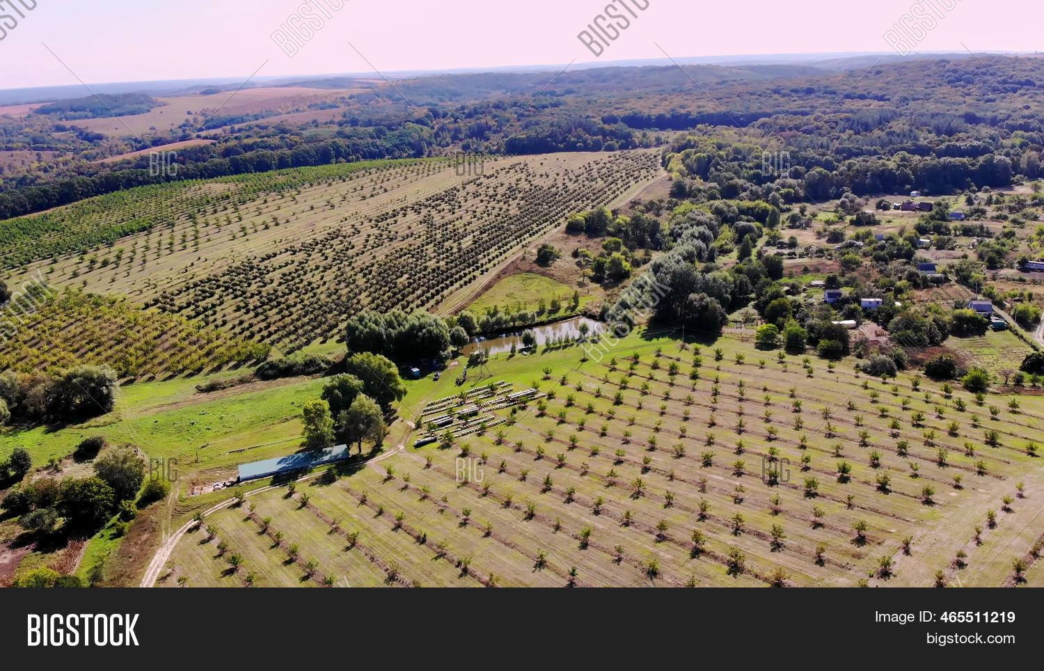 Farm, Fields Walnut Image & Photo (Free Trial) | Bigstock