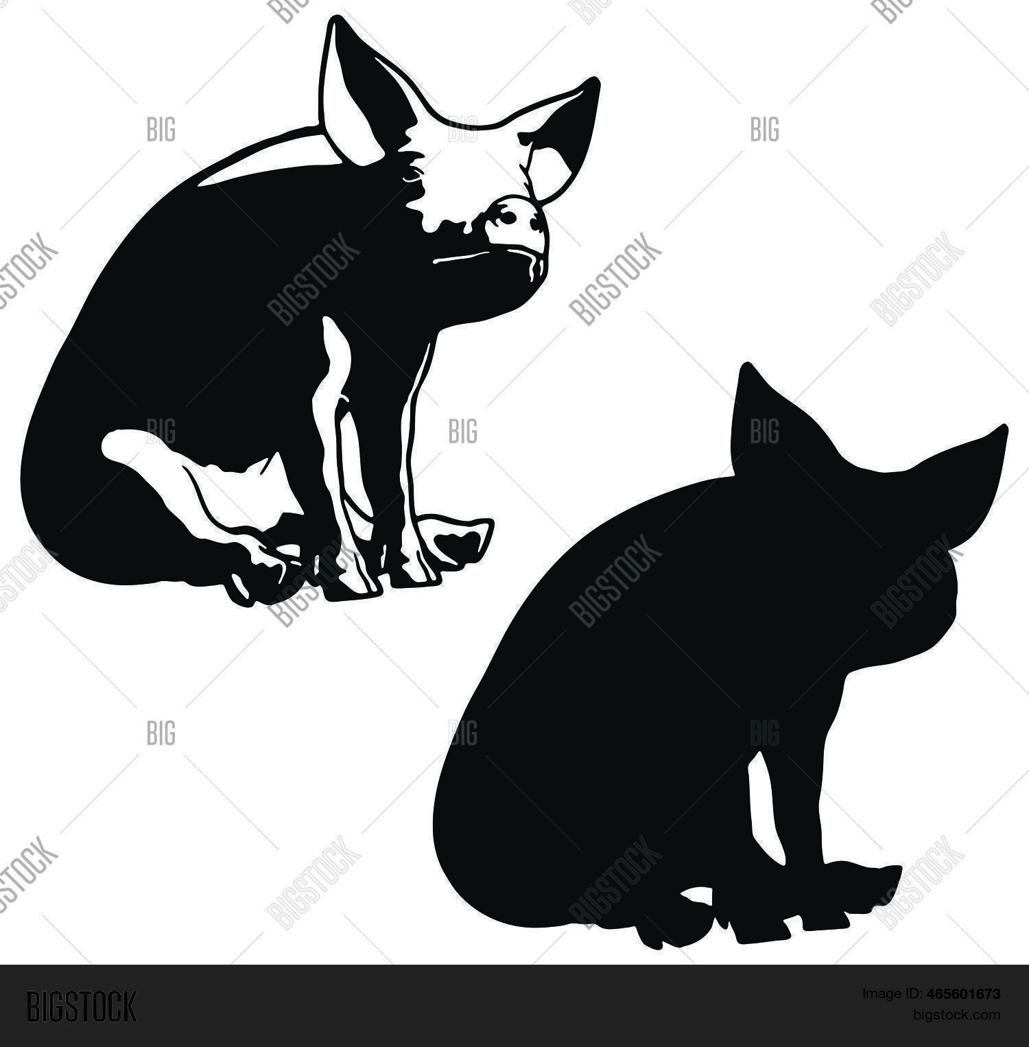 Pig Innocent Look Vector & Photo (Free Trial) | Bigstock