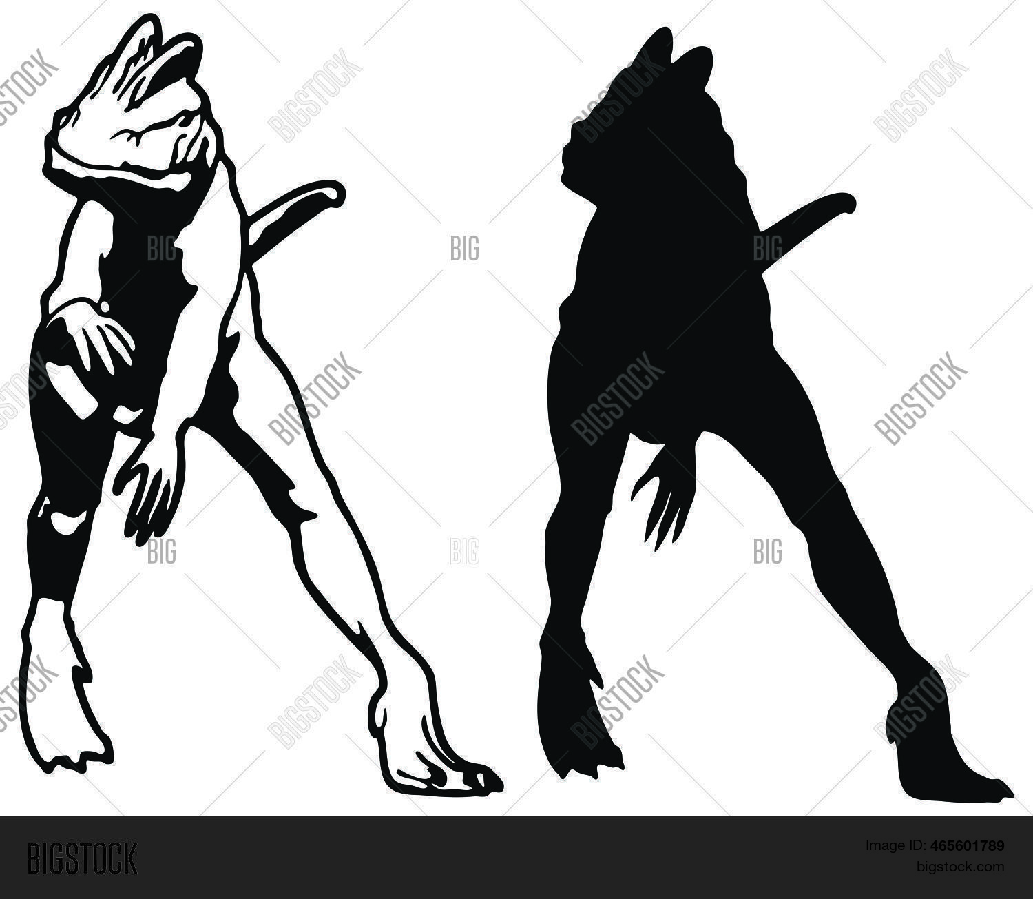 Funy Dinosaur Front Vector & Photo (Free Trial) | Bigstock