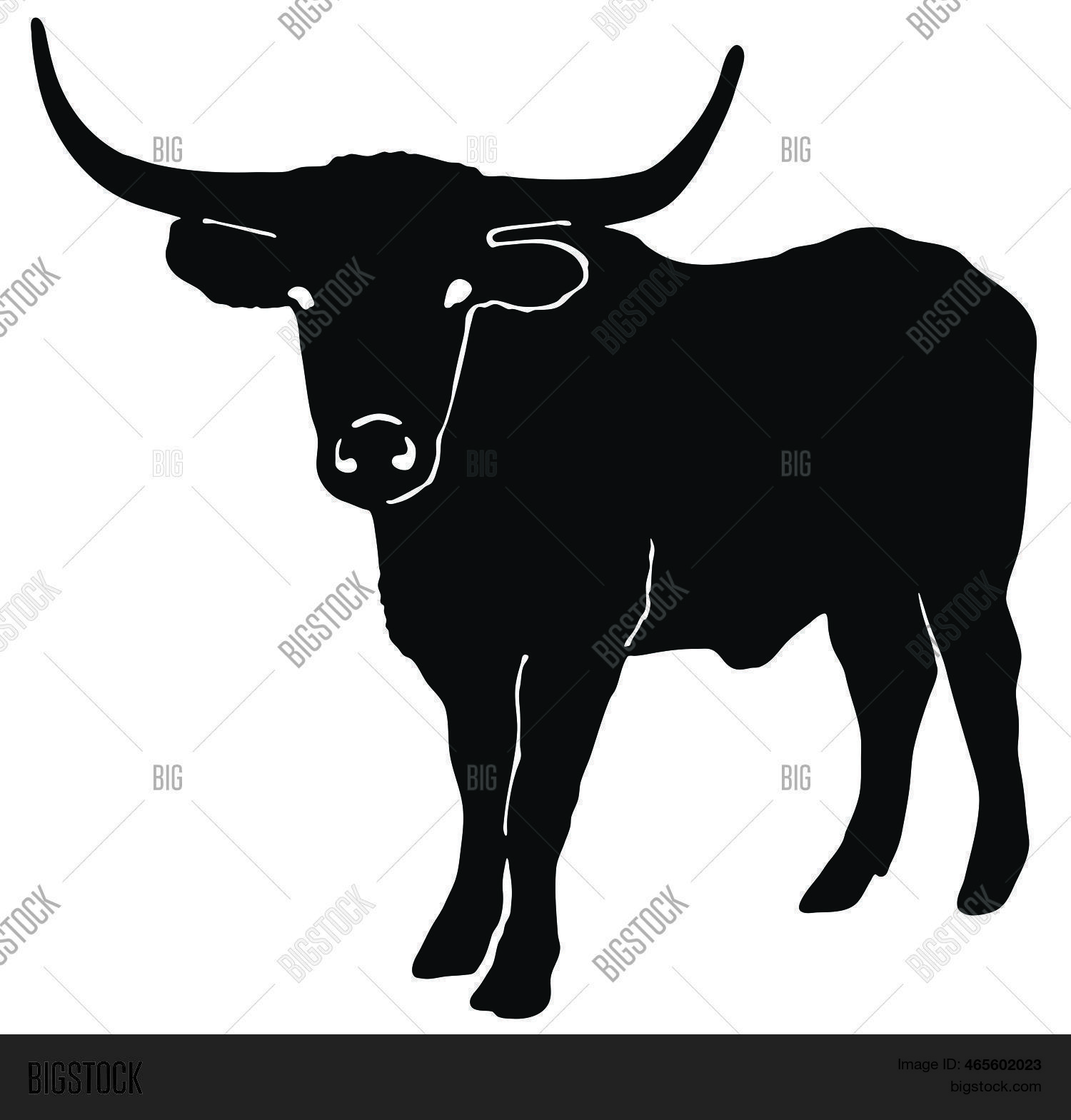 Hand Drawn Bull, Vector & Photo (Free Trial) | Bigstock
