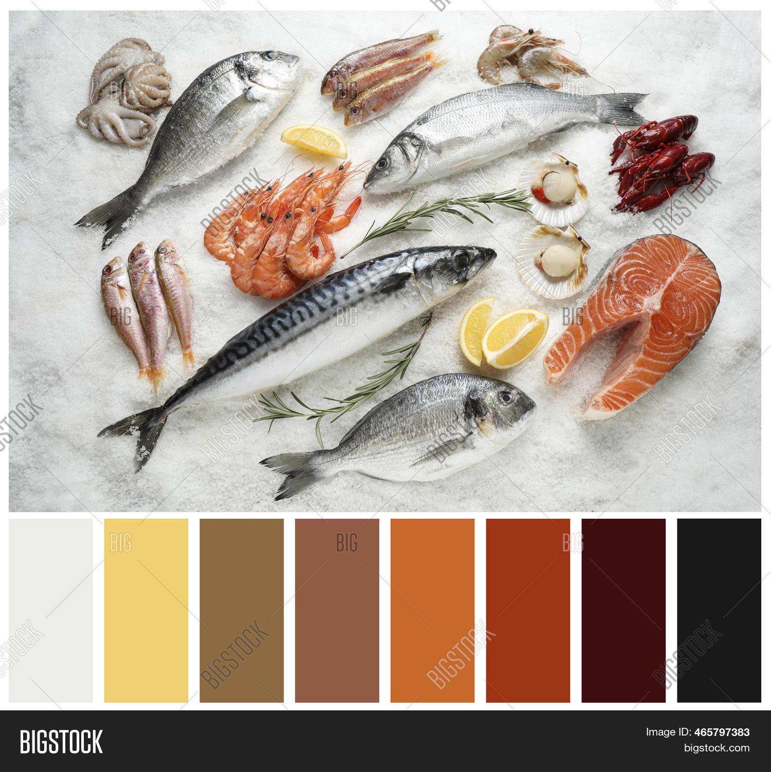 Top View Fresh Fish Image & Photo (Free Trial) | Bigstock