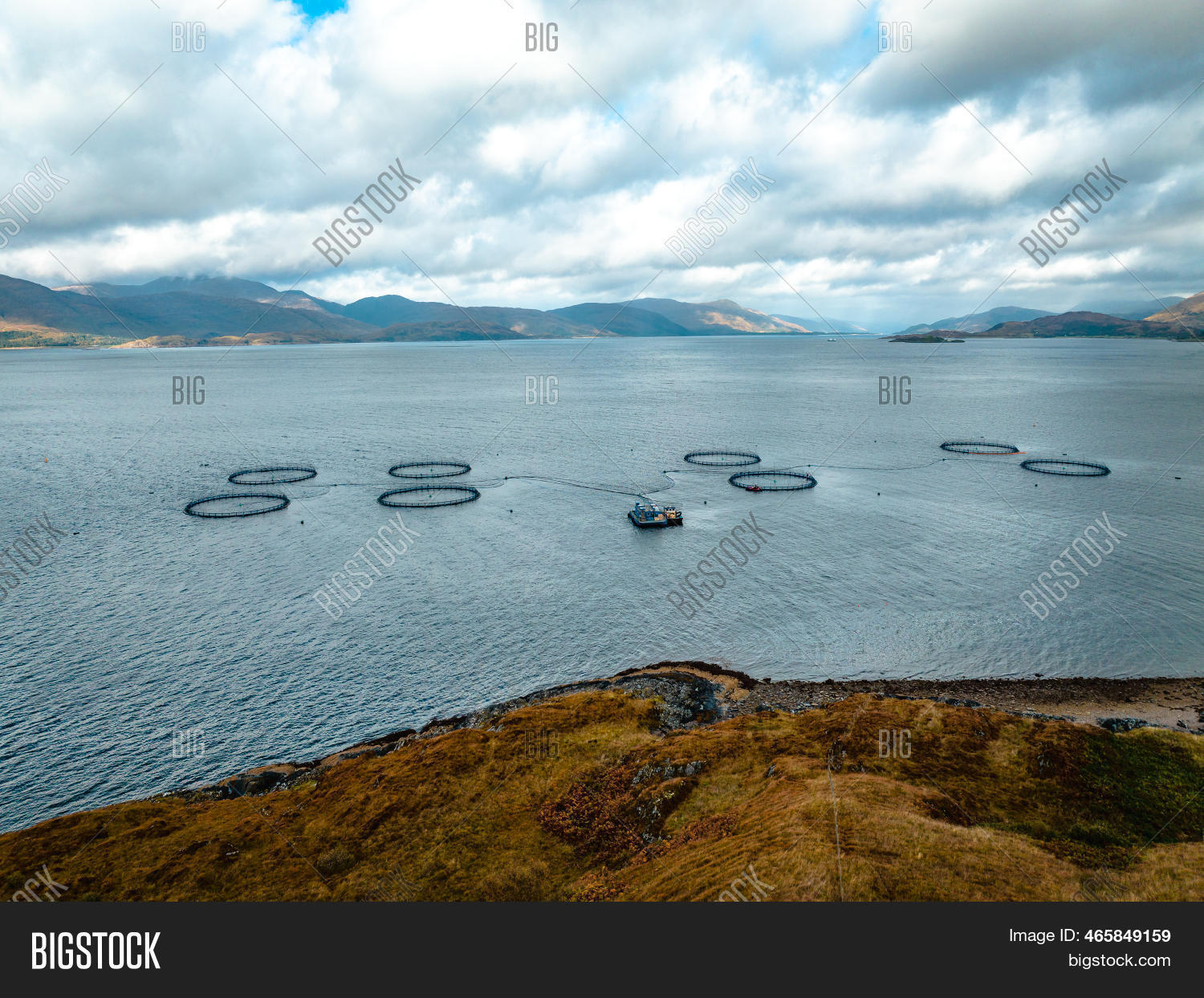 Aquaculture Intensive Image & Photo (Free Trial) | Bigstock