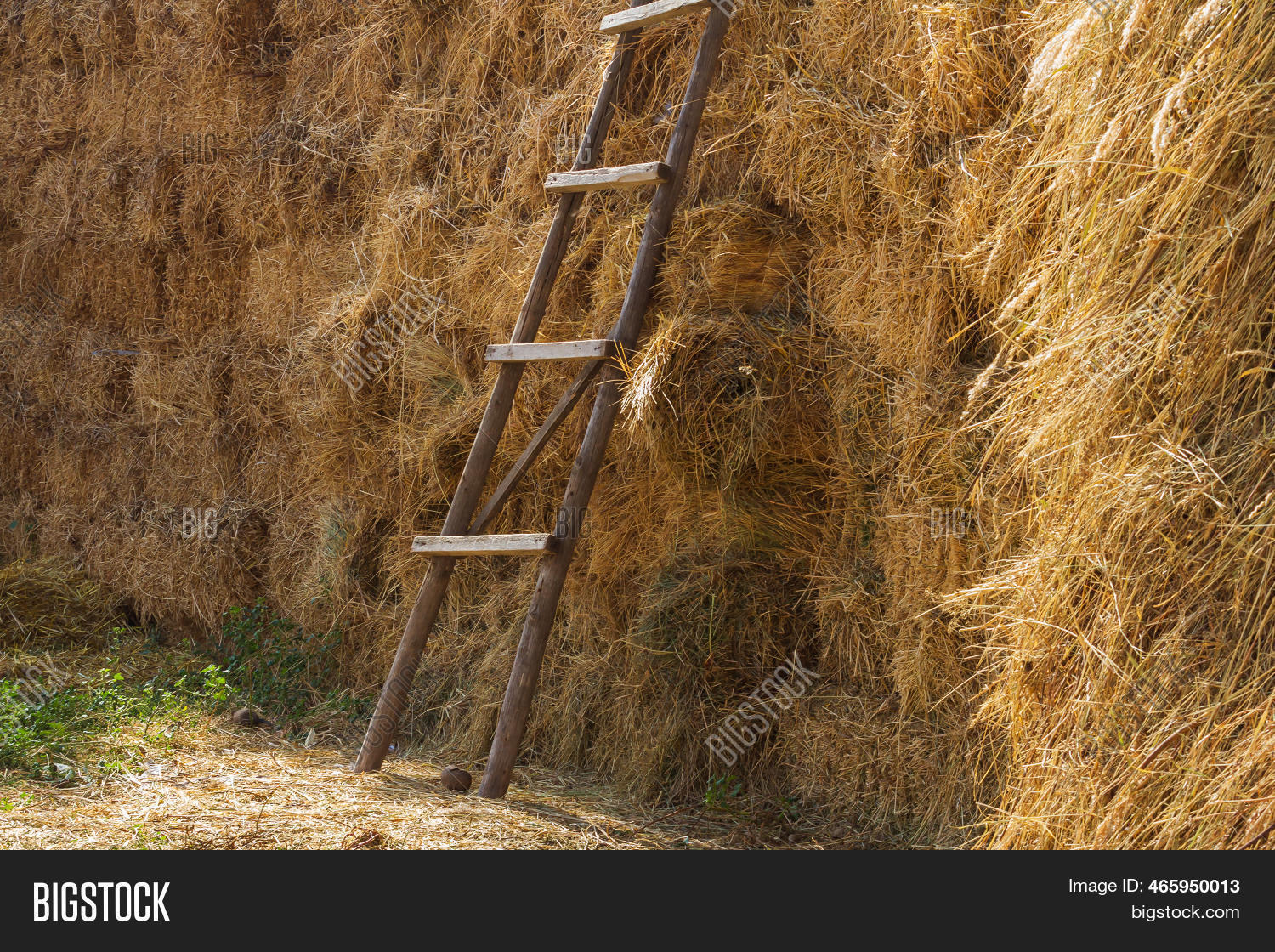 Ladder Hayloft, Dry Image & Photo (Free Trial) | Bigstock
