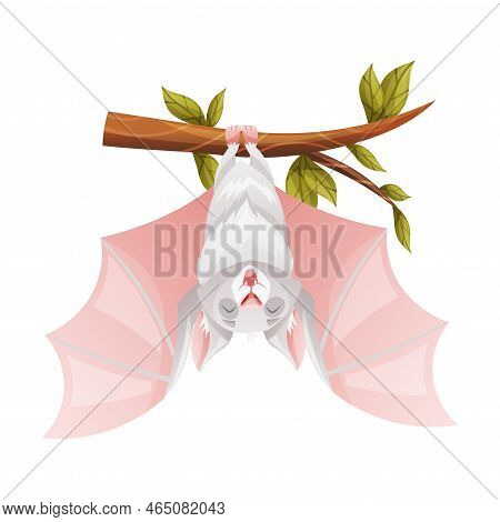 Hanging Bat Clip Art