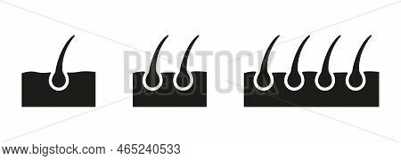 Hair Bulb Silhouette Vector & Photo (Free Trial) | Bigstock