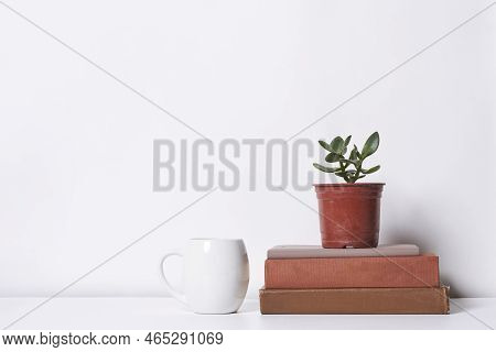 Some Books Pot Plant Image & Photo (Free Trial) | Bigstock