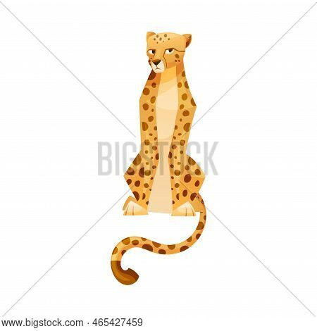 Sitting Cheetah Vector & Photo (Free Trial) | Bigstock