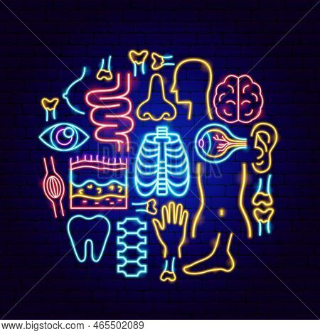 Body Organs Neon Vector & Photo (Free Trial) | Bigstock